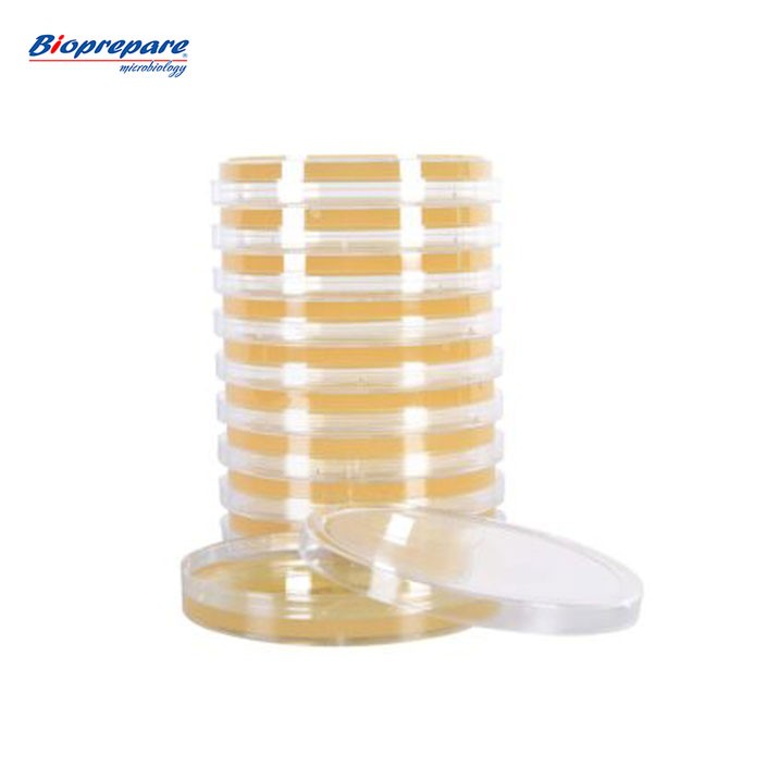 Sabouraud Dextrose Agar plates 10 pcs – Innolab